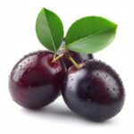 60 FRUITS THAT START WITH THE LETTER J (WITH IMAGES) - homemadebanana.com