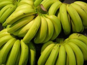 55 FRUITS THAT START WITH THE LETTER N (WITH IMAGES) - homemadebanana.com