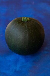 55 FRUITS THAT START WITH THE LETTER T (WITH IMAGES) - homemadebanana.com